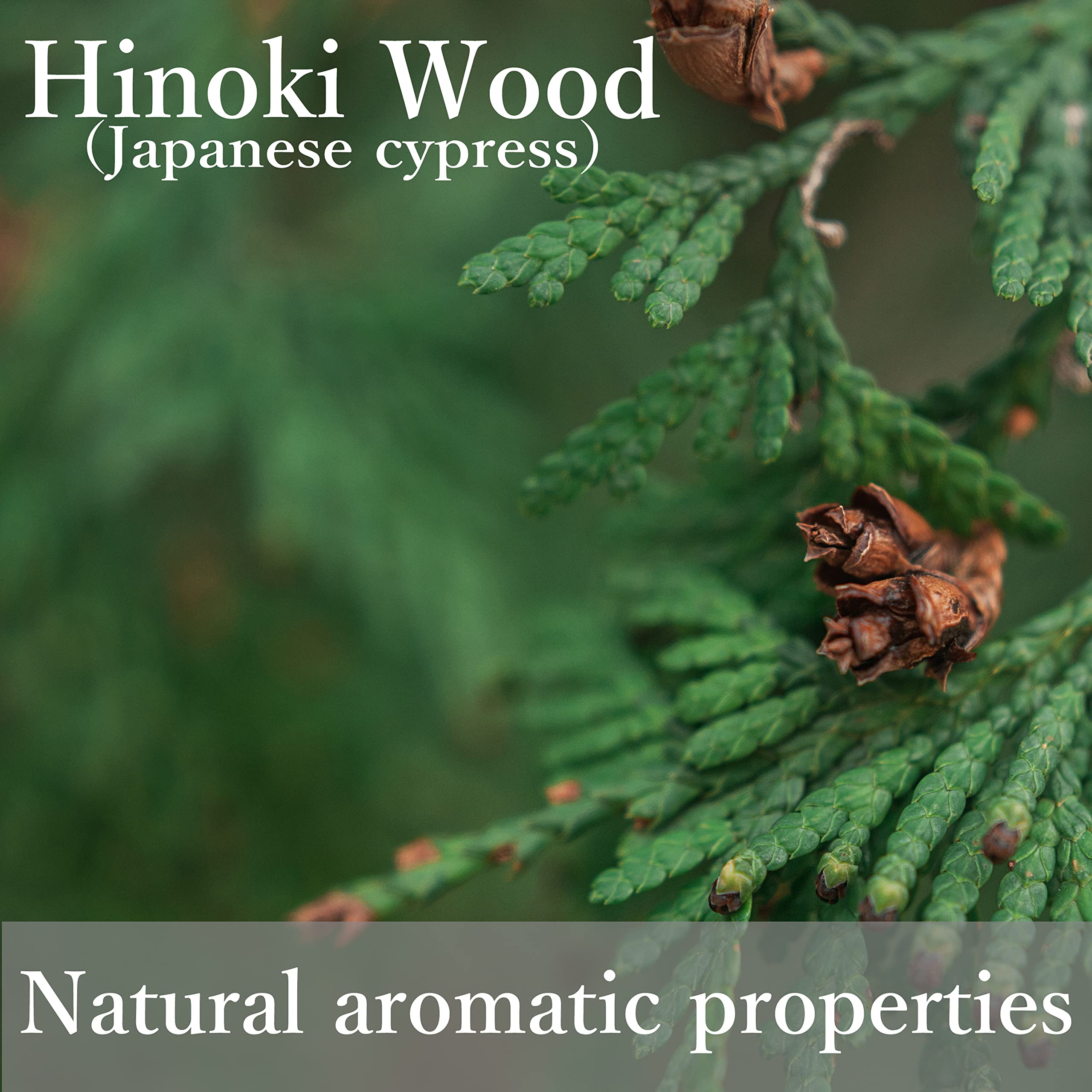 Nezame Japan Hinoki Cypress Lightweight Cutting Board 11 x 7" Japanese Natural Products Wood Chopping Board