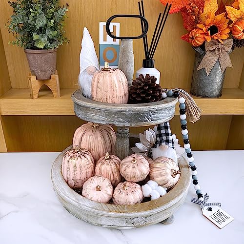 Winlyn 10 Pcs Assorted Artificial Gold Brushed Pink Pumpkins Rustic Decorative Pumpkins Foam Pumpkins for Farmhouse Fall Wedding Baby Shower Halloween Tabletop Centerpiece Mantel Decoration