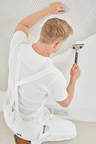 Tajima SCRL300 Scrape-Rite Reversible Blade Scraper, Silver/Black/Yellow, 265 mm
