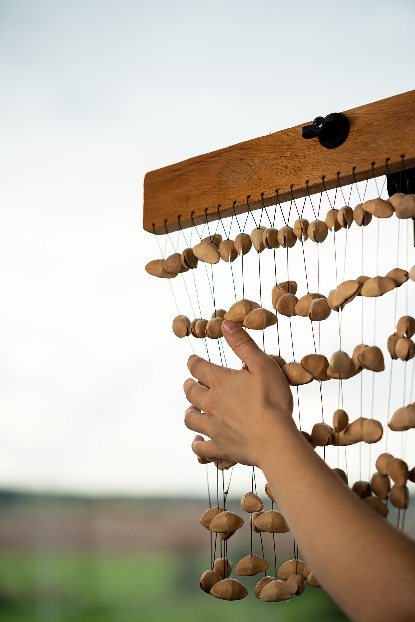 Meinl Sonic Energy Seed Shell Chimes Percussion Instrument β Nature Sounds for Meditation, ASMR, Sound Therapy, Yoga