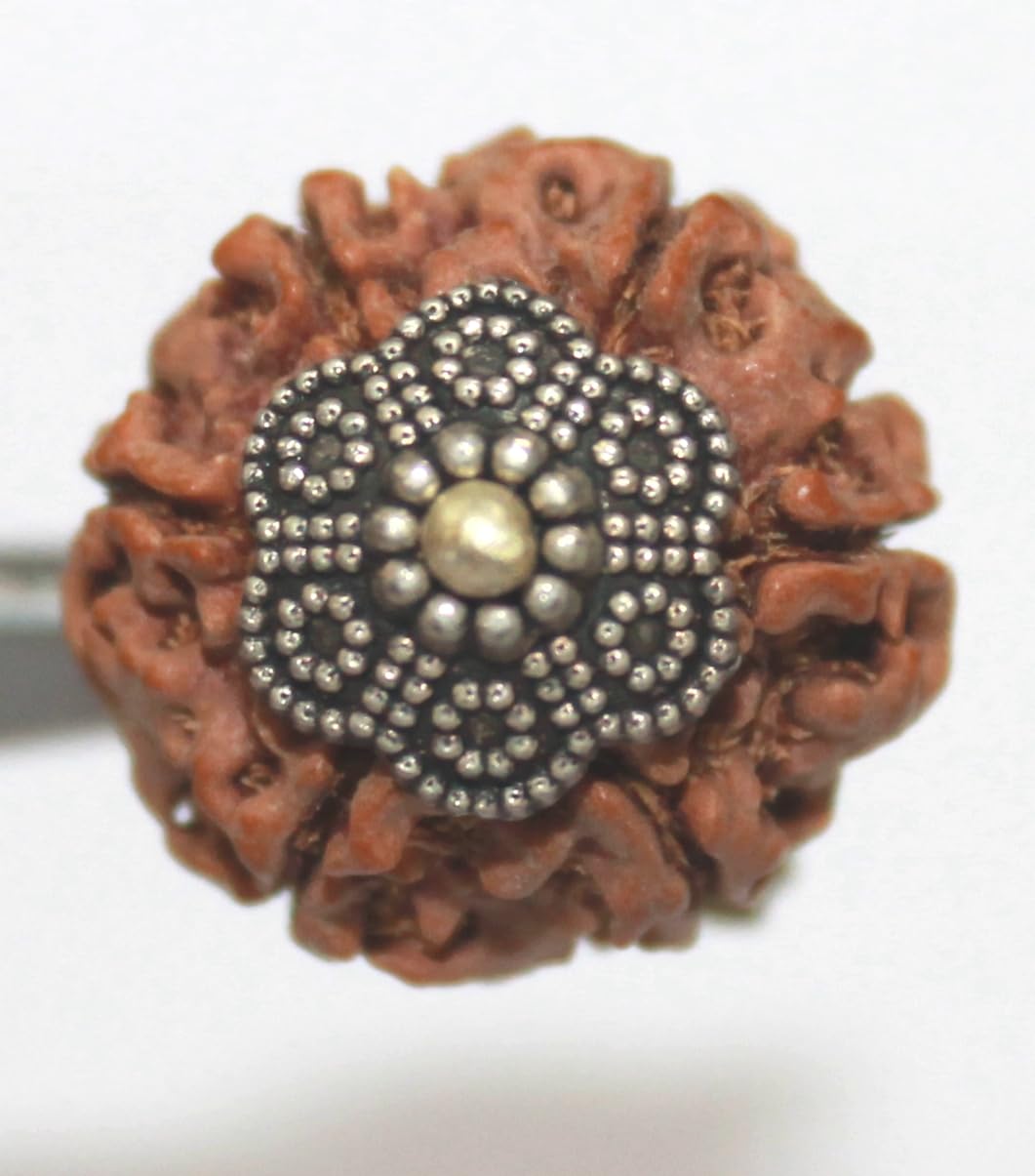 IndianStore4All 6 Mukhi Nepal Rudraksha Penadnt 100% Original Six Face Rudraksha