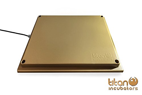 Titan Incubators Chick Heating Plate/Brooder Hen β Heat Lamp Replacement - Up to 25 Chicks β 12β x 12β