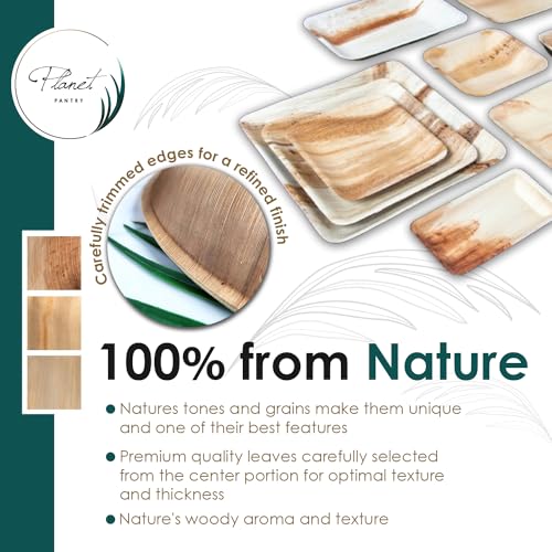 Planet Pantry Disposable Palm leaf Cutlery Wooden Bamboo-Like Paper and Plastic Alternative Eco-Friendly for Food, Party, Buffet (5" Soup Spoon, 50)