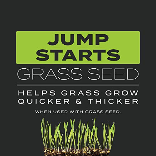 Scotts Turf Builder Triple Action Built For Seeding - Weed Preventer and Fertilizer for New Lawns, 1,000 sq. ft., 4.3 lbs.