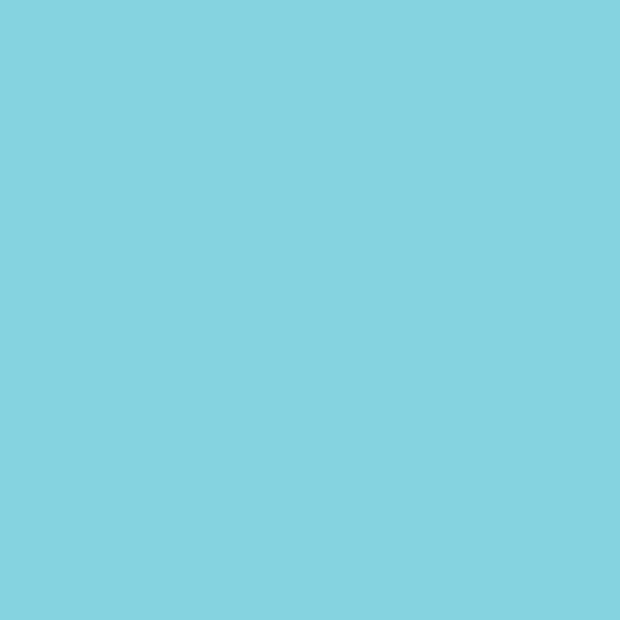 Magic Cover Adhesive Vinyl Paper, Multi-Functional Shelf Liner for Lining Drawers and Shelves, Waterproof and Durable, 18" x 20', Teal
