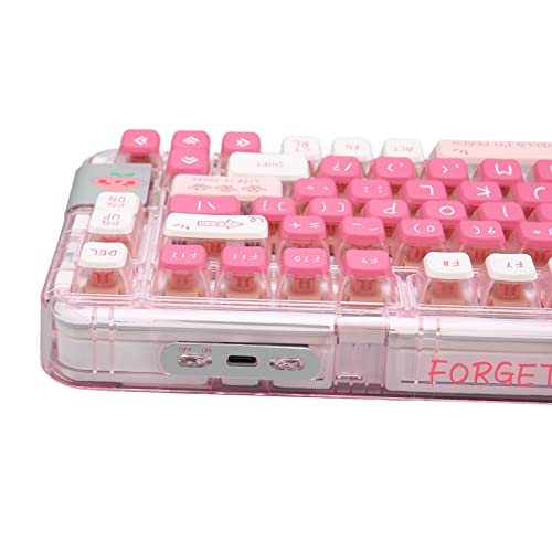 Sanpyl Mechanical Keyboard, 2.4Ghz Noise Reduction Pink Type C Wired Keyboard, 3750mAh Battery 2 Layer Keycaps Wireless Gaming Keyboard, with RGB Backlight for iOS for Windows