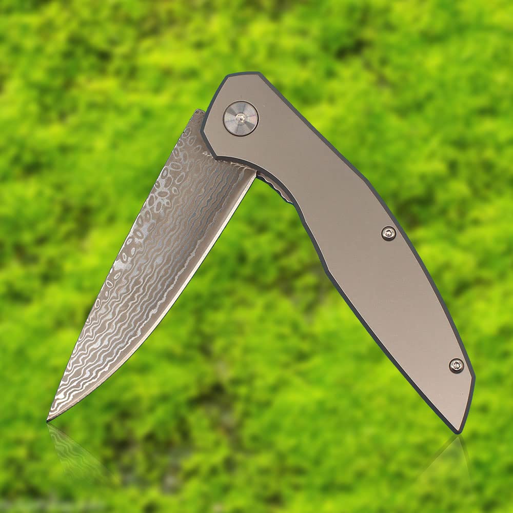 R8318 Flipper Folding Knife 67-Layer VG10 Damascus Steel Blade CNC TC4 Titanium Alloy, Outdoor Camping Hiking Fishing EDC Pocket Folder Knives