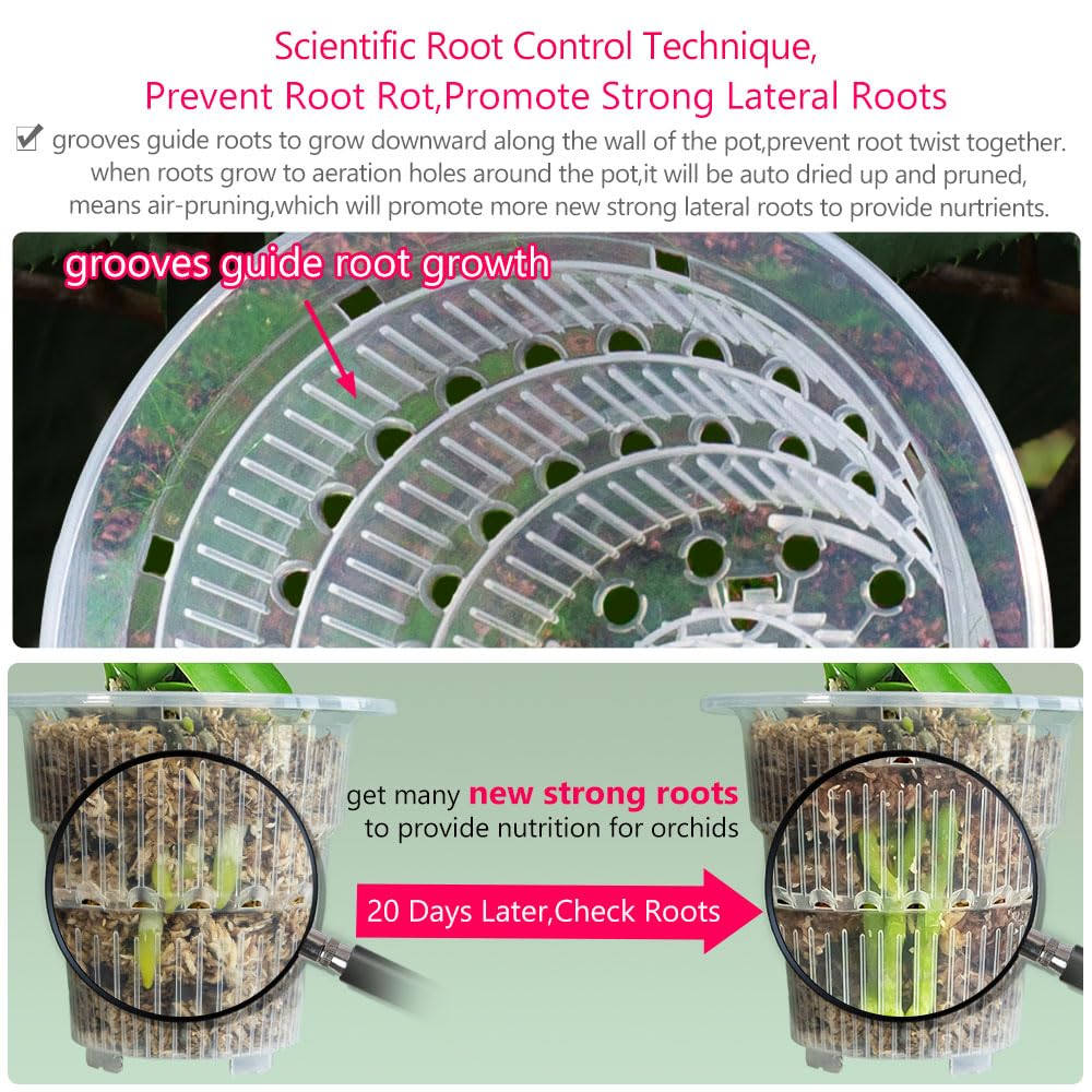 Meshpot 4 inch Clear Plastic Orchid Pots with Holes and Saucers for Repotting,Pack of 4,Small Orchid Planters Own Scientific Controlling Roots Technology to Develop More Strong Roots