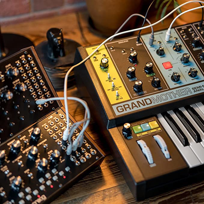 Moog Grandmother Semi-Modular Analog Synthesizer Bundle with Case, Patch Cables, Instrument and Midi Cable and Austin Bazaar Polishing Cloth
