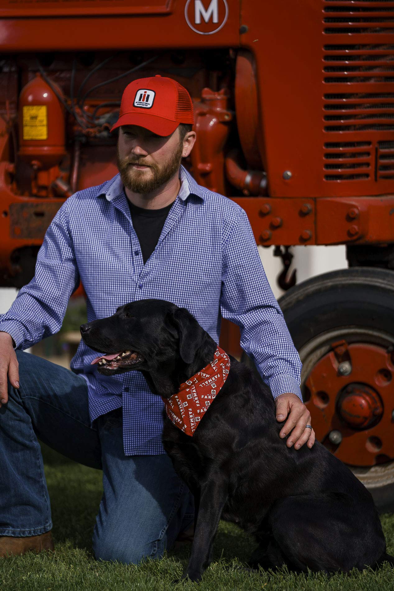 International Harvester IH Logo Hat, red mesh