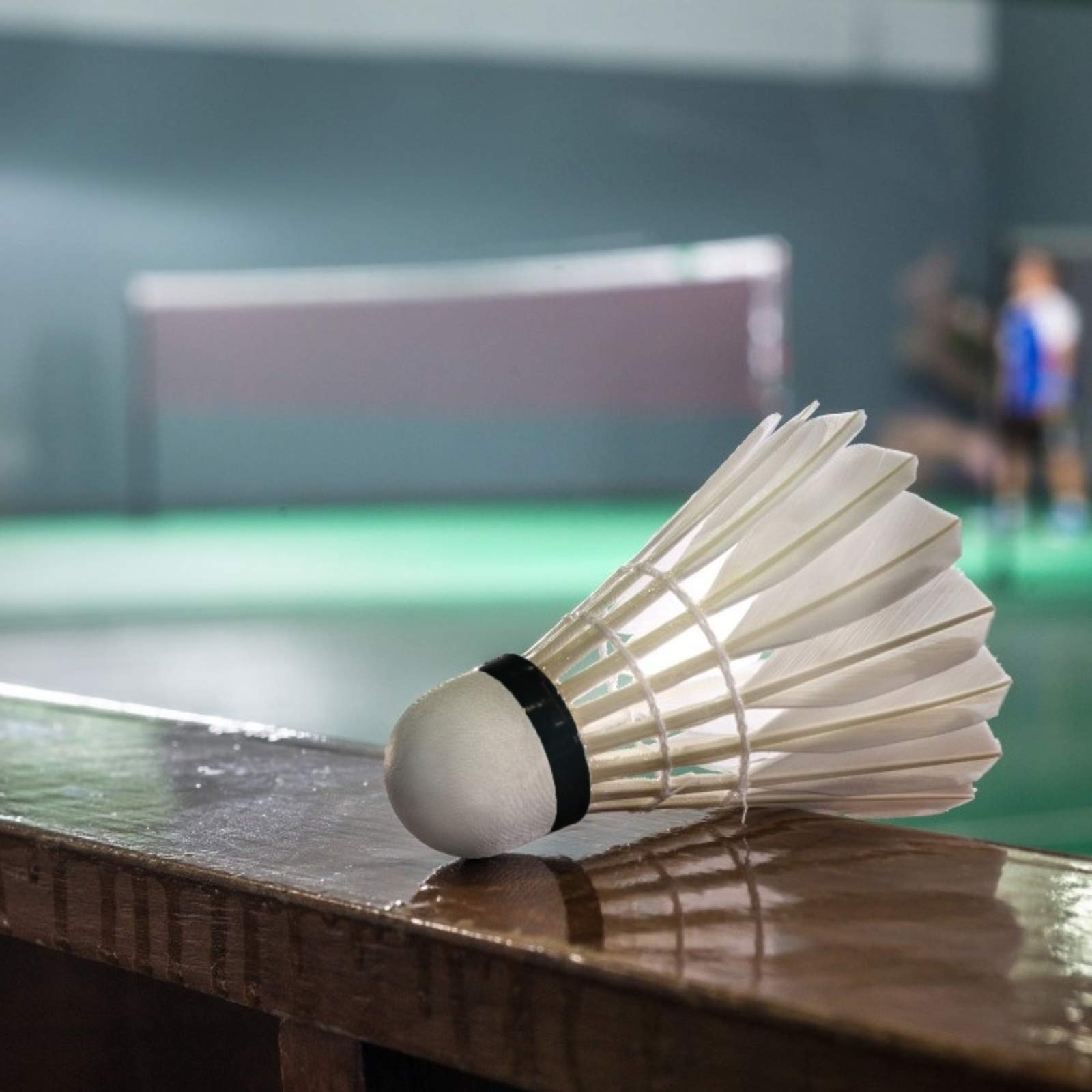 KEVENZ Goose Feather Badminton Shuttlecocks with Great Stability and Durability, High Speed Badminton Birdies-12PK (White-K1)
