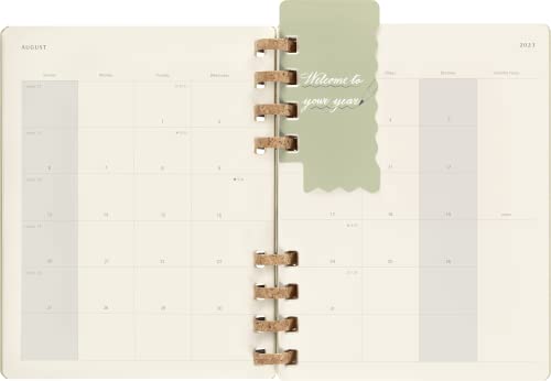 Moleskine 2024 Spiral Academic Planner, 12M, Extra Large, Crush Kiwi, Hard Cover (7.5 x 10)