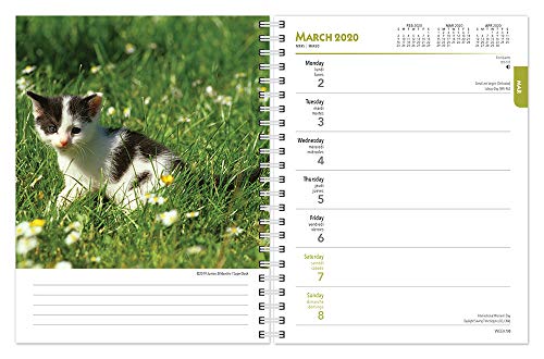 Kittens 2020 6 x 7.75 Inch Weekly Engagement Calendar, Animals Kittens