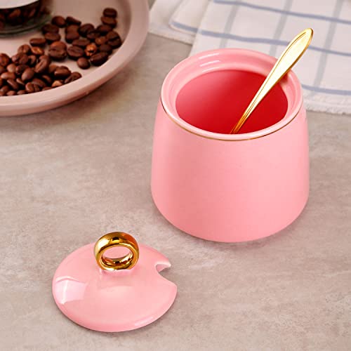 WHJY Ceramic Sugar Bowl with Lid and Spoon, Simple White Clear Porcelain Salt Bowl Salt Container, Modern Spice Box Seasoning Jar for Home and Kitchen Coffee Bar - Pink