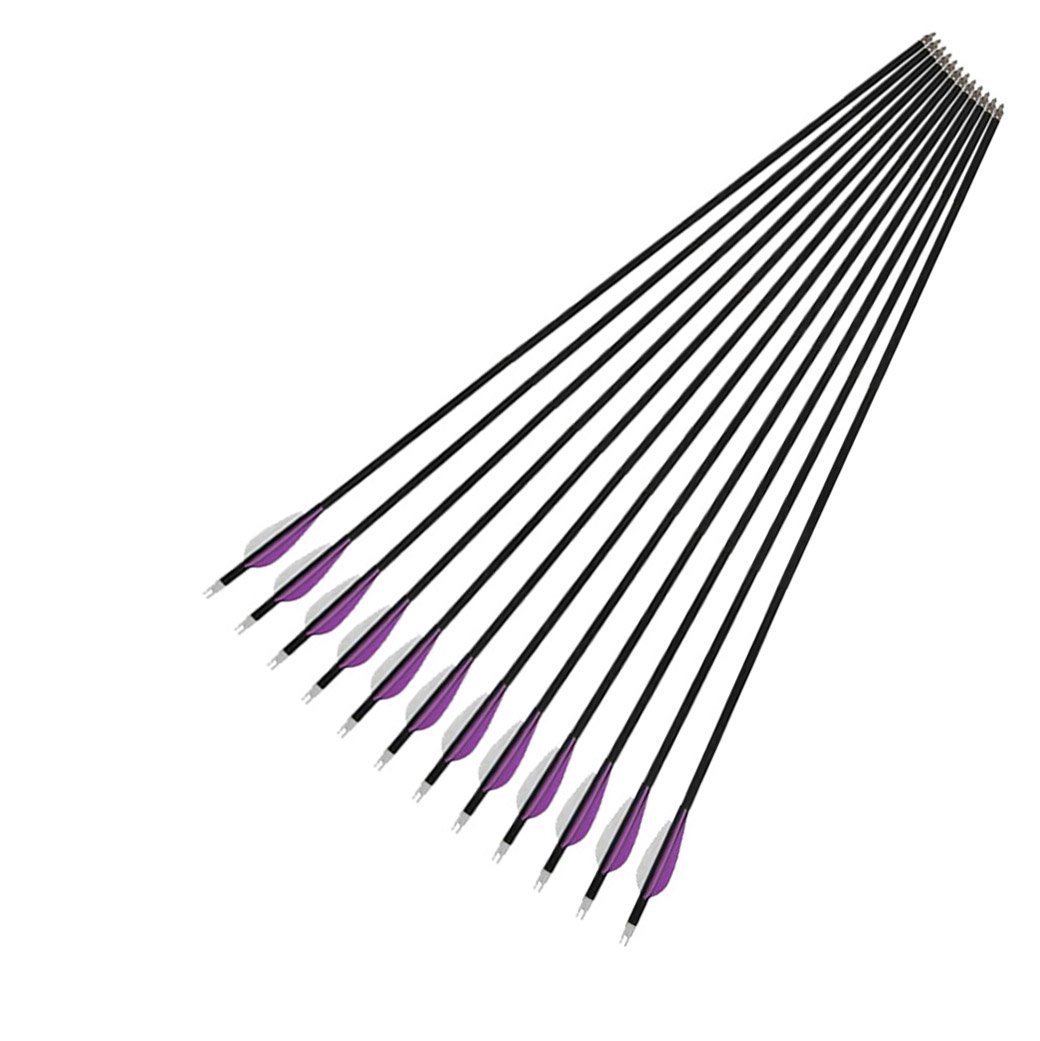 IRQ 31 Inch Carbon Arrow Quiver Set Spine 400 for Compound Recurve Long Bows Target Practice and Hunting Arrows, 12 Pack Carbon Fiber Arrow Plus 1 Quiver