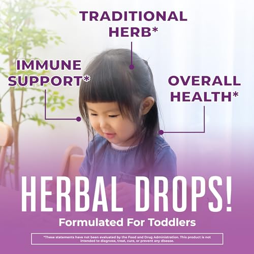 MaryRuth's Toddler Elderberry Syrup | USDA Organic Elderberry | Sugar Free Kids Immune Support Supplement for Ages 1-3 Years | Clean Label Project Verified®, Vegan, Non-GMO, Gluten Free | 1 Fl Oz