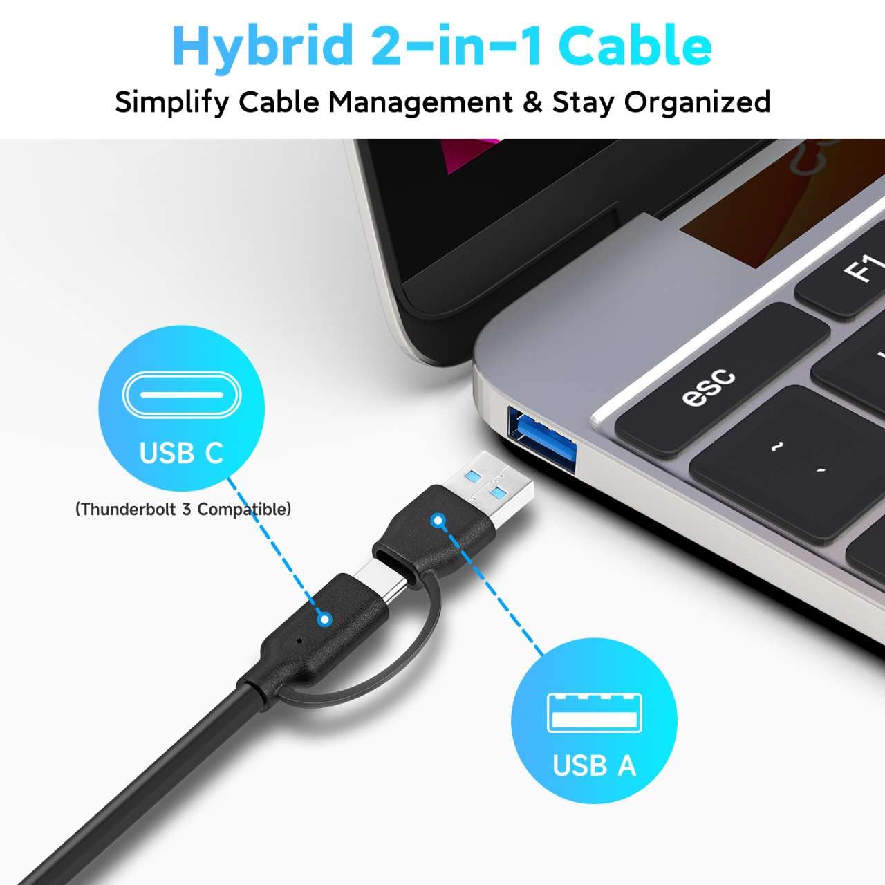 Powered USB Hub, ikuai 4-Port USB 3.1/3.2 Gen 2 Data Port Hub, SuperSpeed USB 10Gbps, Aluminum USB Splitter with 3.3 ft Long Cable, 5V Power Adapter and Individual On/Off Switches
