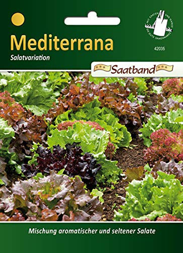 Portal Cool Salatmischung 'Mediterrana', Banda dei Semi, Semi di Insalata, 42035