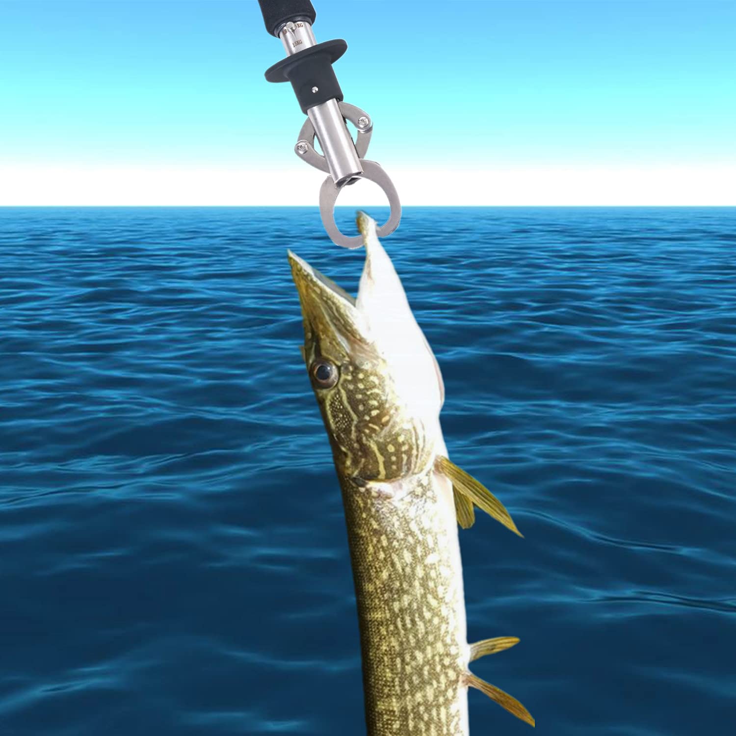 Professional Fish Gripper with Scale Stainless Steel Fish Holder Grabber 33 Pound Fish Lip Grip Boga Grip Fishing Tool
