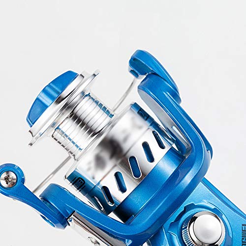 LLJPYX7L Fishing Reel with 2 Bearings, Large-Capacity Fishing Reel for Beginners, 5.0:1 Gear Ratio, Left/Right Rocker arm Interchangeable, Suitable for Beginners (Size : 6000)