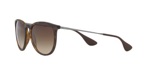 Ray-Ban RB4171 Erika 865/13 54mm Rubber Havana/Brown Gradient Sunglasses for Woman + VISIOVA Accessories Bundle Kit