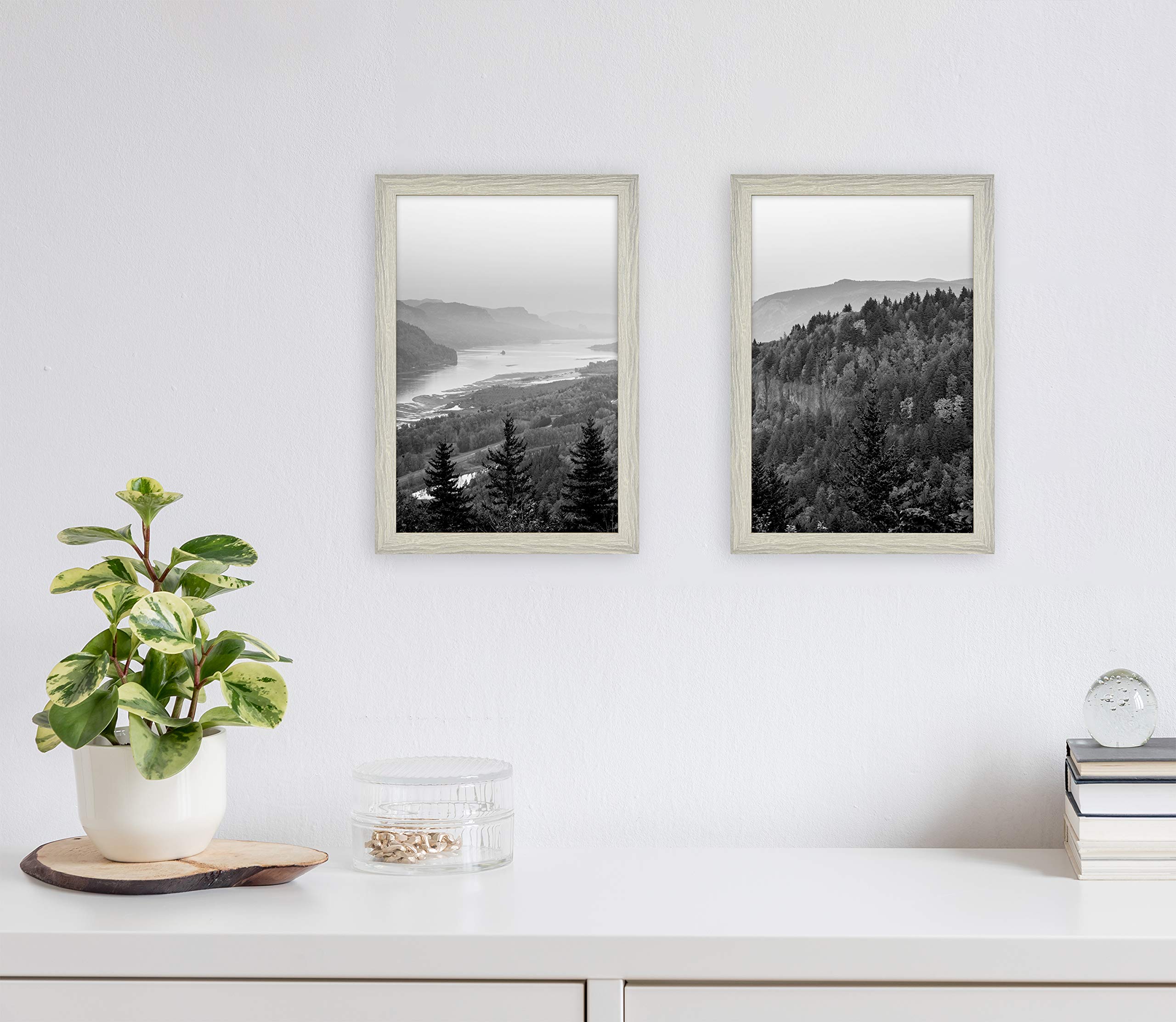MCS Studio Gallery 12x18 Picture Frame Gray Woodgrain, Rectangle Photo Frame for Photos, Posters & Art Prints (2-Pack)