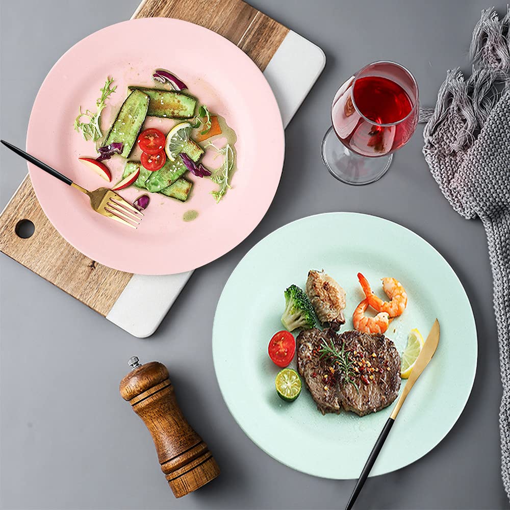 NA 10" 11" Dinner Plates Set of 10, Reusable Wheat Straw Dessert Dishes, Round Pasta Salad Serving Plate, Unbreakable Fiber Dinnerware for Party Steak Pizza (Pink)