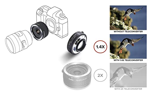 Kenko TELEPLUS HD DGX 1.4x Teleconverter for Nikon F-Mount G/E Type Lenses