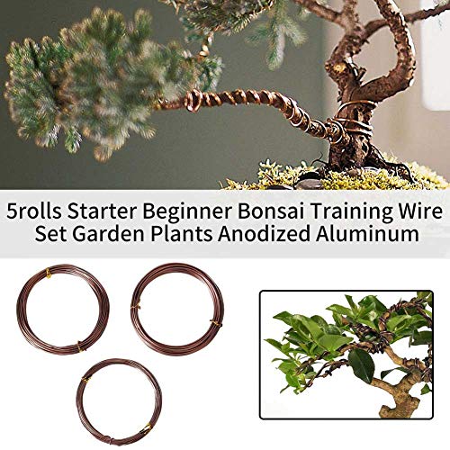 Pumbaa 5rolls 147 Feet Total Anodized Aluminum Tree Bonsai Training Wire Set Flexible Holding Branch Plants Beginner Garden Artists - Bronze