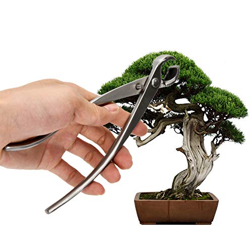 TOPINCN Bonsai Tool Branch Cutter Stainless Steel Garden Knob Cutter Bonsai Cutter Concave Cutter Gardening Tool 210mm (8.26")