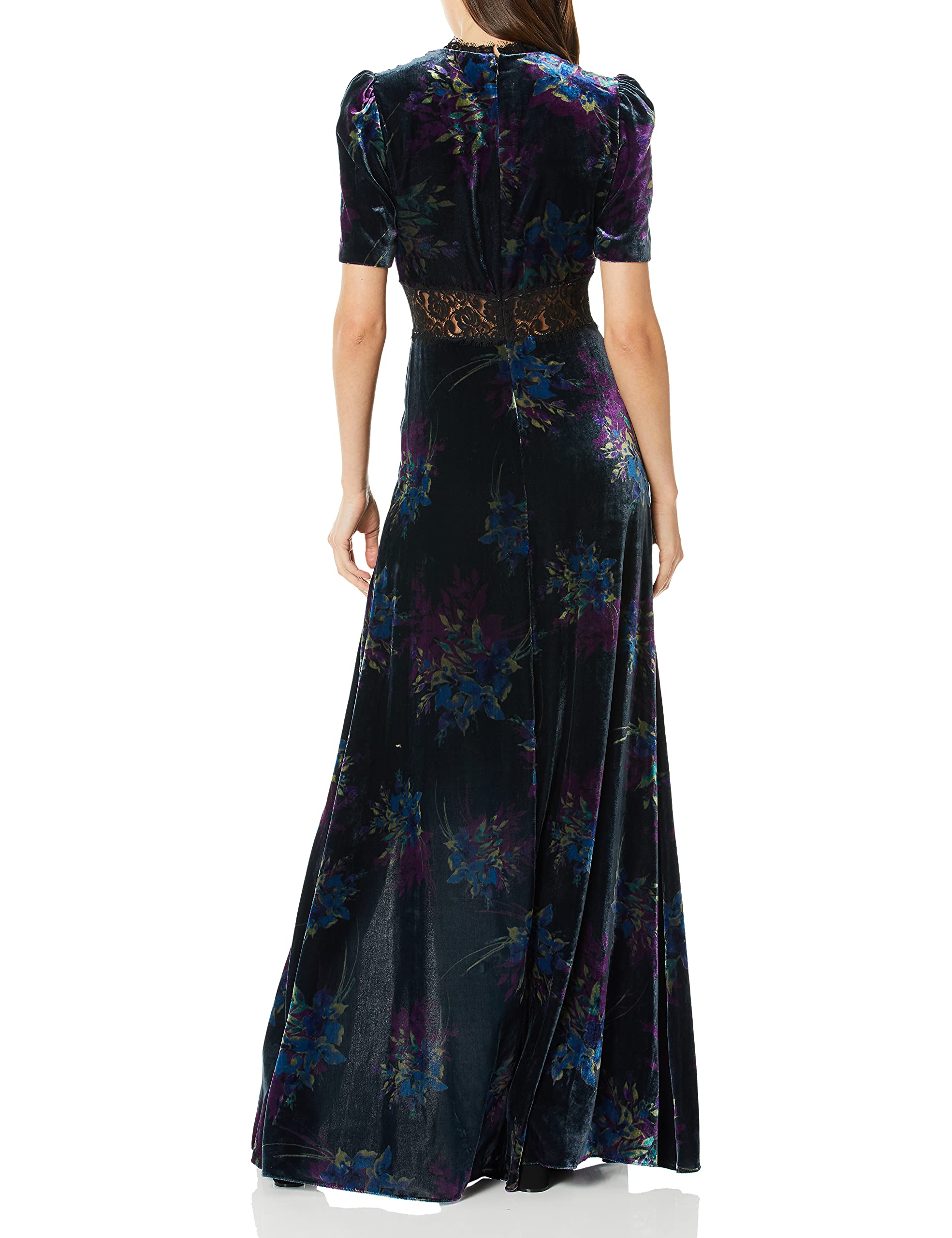 Jill Jill Stuart Women's Printed velevt Gown, Black/Multi, 2