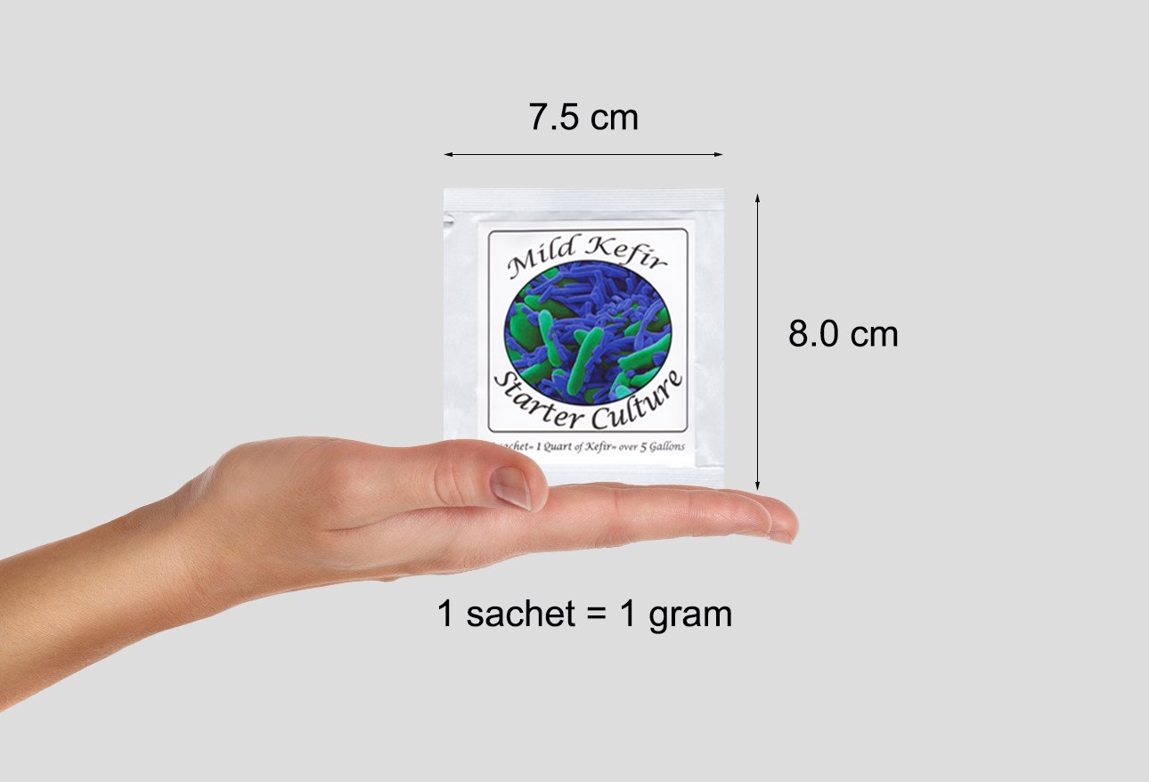 Kefir Starter Cultures - Pack of Freeze-Dried Culture Sachets For Creamy and Mild Milk Kefir (12 sachets)