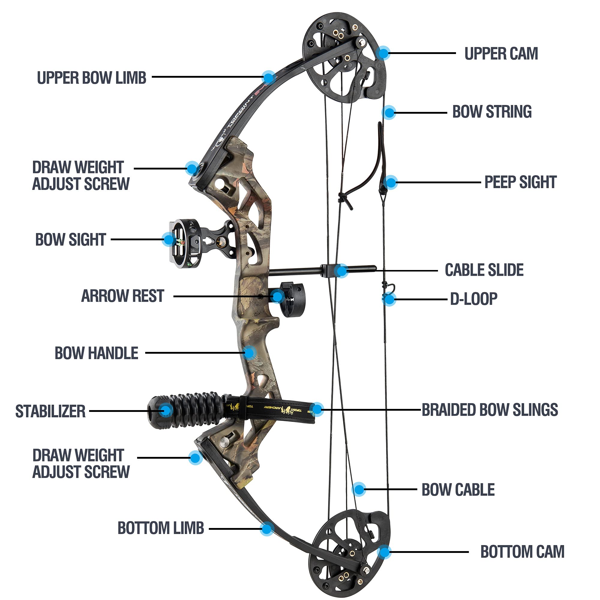 NC DJH Archery Compound Bow Package and Arrows for Kids Beginners 17"-27" Draw Length，10-30 Lbs Draw Weight Adjustable，260fps IBO Lightweight Design Bow Shooting (PRO Package-Purple)