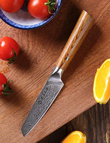 Paring Knife 3.8Inch Damascus Steel Knife Professional Super Steel VG10 Comfortable Ergonomic Wood Grain Handle Very Sharp Paring Knives for KitchenâGift Box