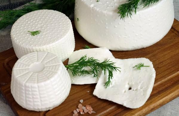 LOVARE Meito Rennet for Cheese Making - Cheese Making Enzymes - Rennet for Making Fresh Cheese 4 x 1 gr. (for 105 gallons/400L of milk) by QG group