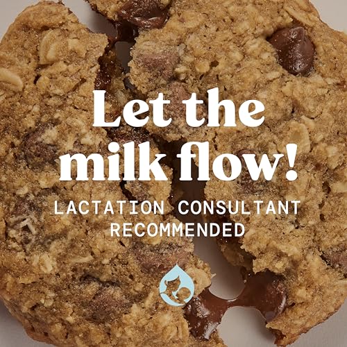 Mommy Knows Best Lactation Cookies Mix - Oatmeal Breastfeeding Cookie Supplement Support for Breast Milk Supply Increase with Flax Seed and Brewers Yeast (Chocolate Chip) 15oz