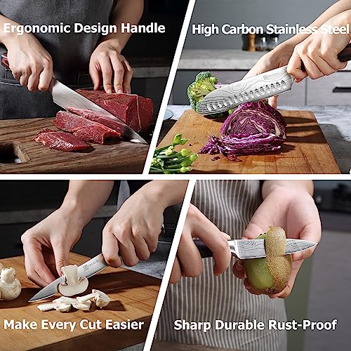 PAUDIN Kitchen Knife Set, Ultra Sharp Knife Set with Pakkawood Handle, High Carbon Stainless Steel Knives Set for Kitchen, 5 Piece Chef Knife Set Come with Gift Box