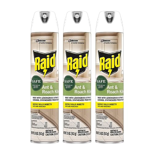 Raid Ant and Roach Killer 11 Ounce (Pack of 3)