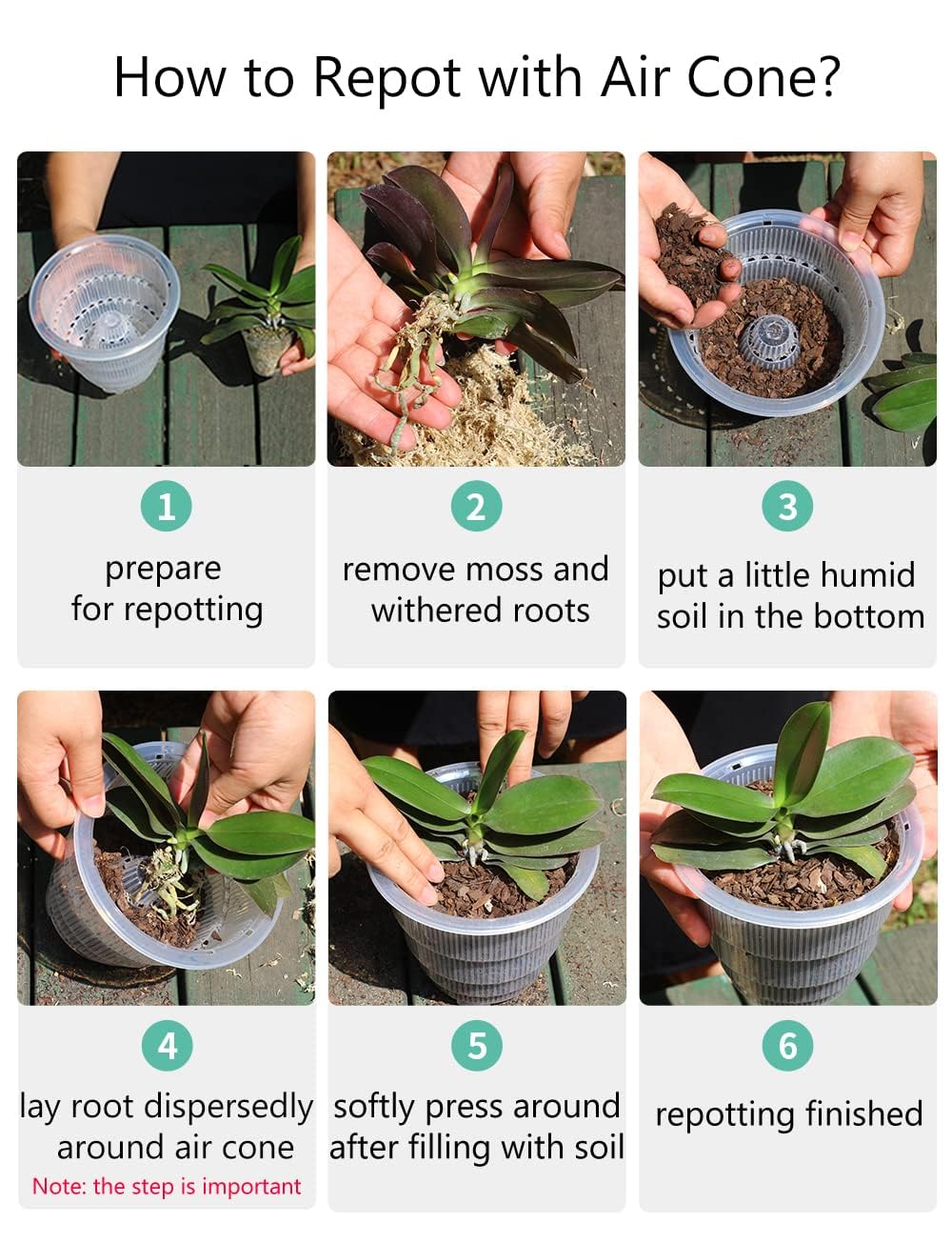 Meshpot 4 inch Clear Plastic Orchid Pots with Holes and Saucers for Repotting,Pack of 4,Small Orchid Planters Own Scientific Controlling Roots Technology to Develop More Strong Roots