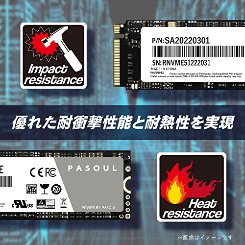 PASOUL SSD 1TB SATA M.2 2280 6GB/s Compliant 3D TLC Max Read 530MB/s Write 500MB PAM2280M2-1T