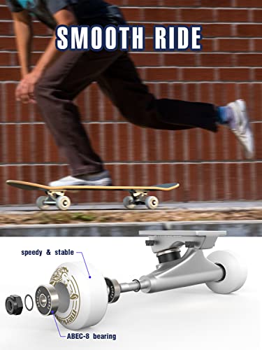 M Merkapa 31"x8" Skateboard for Adults Teens Youths Kids Beginners, 8 Layer Canadian Maple Double Kick Deck Concave Fit for Skateboarding, Cruising, Carving, Tricks (with T Tool)