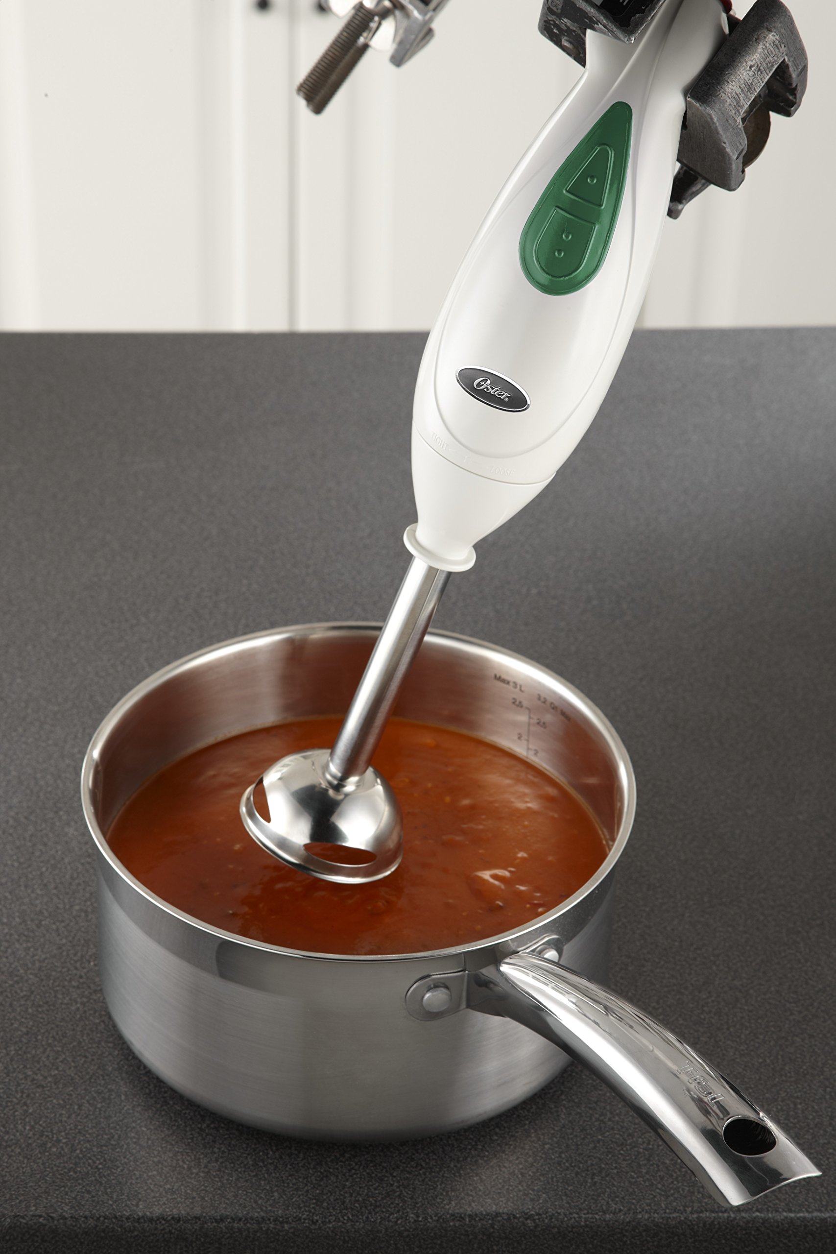 Oster FPSTHB2602 Accentuate Two Speed Hand Blender, 250-watt, Green