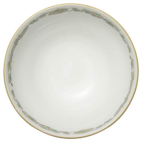 Noritake TT97890/4924-11 My Neighbor Totoro Rice Bowl, 9.2 fl oz (260 cc), Microwave Safe, 1 Piece, Bone China