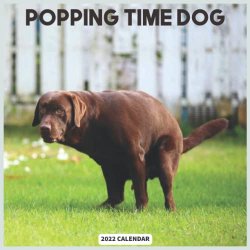 Popping Time Dog 2022 Calendar: Funny Dogs Calendar Gift 2022