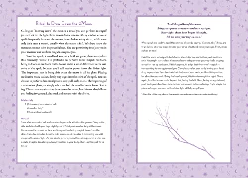Modern-Day Witch Calendar 2024 Wheel of the Year 17-Month Planner (The Modern-Day Witch)