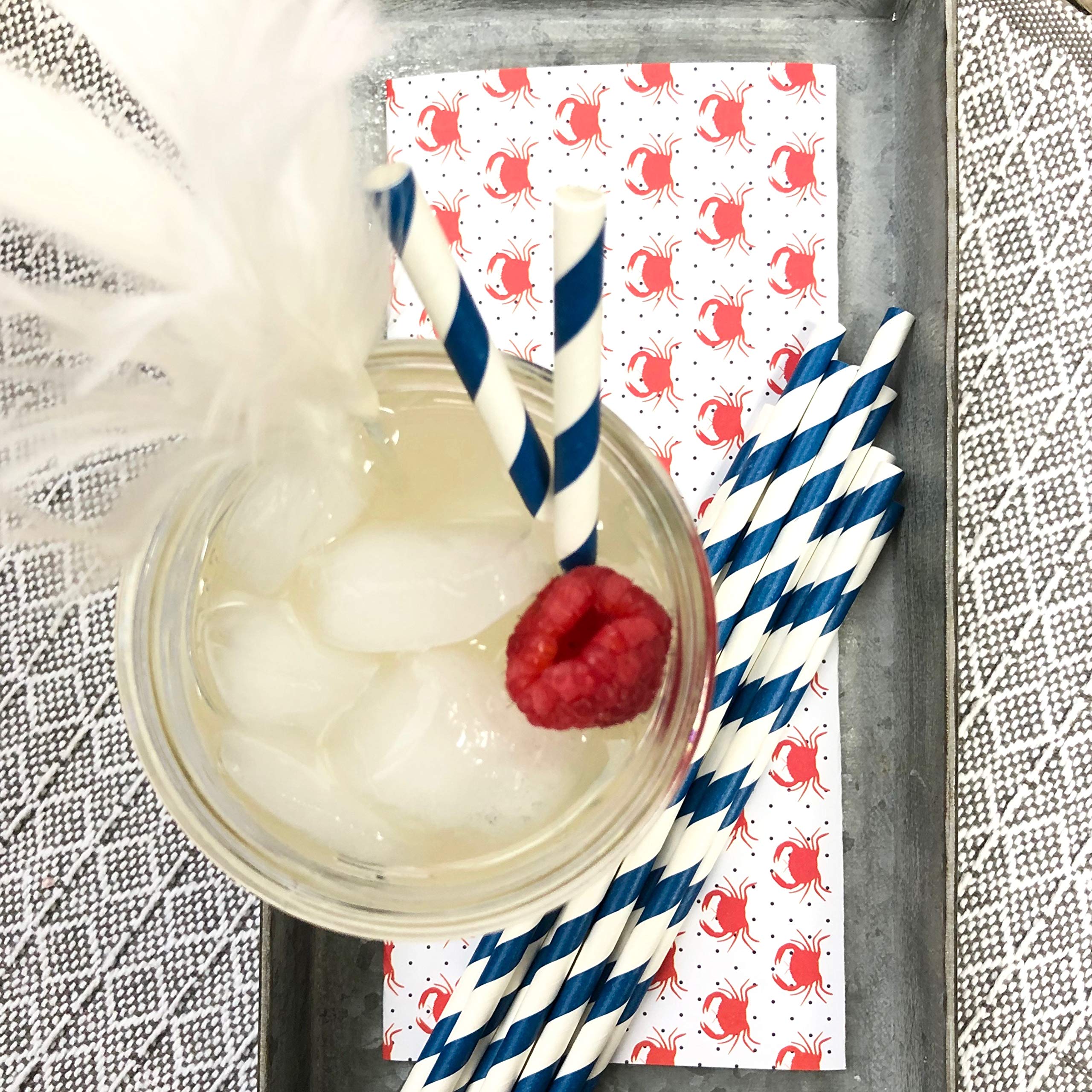 Outside the Box Papers Navy Blue and Gold Chevron and Stripe Paper Straws 7.75 Inches 100 Pack Navy Blue, Gold, White