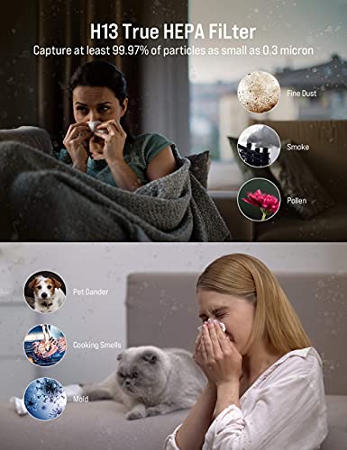 TOPPIN Filter Replacement TPAP005 AP005 TP-AP005 Air Purifier H13 True HEPA Air Filter to Clean Pets Hair Smoke Odors Dust Pollen Home and Room 2000 sq ft