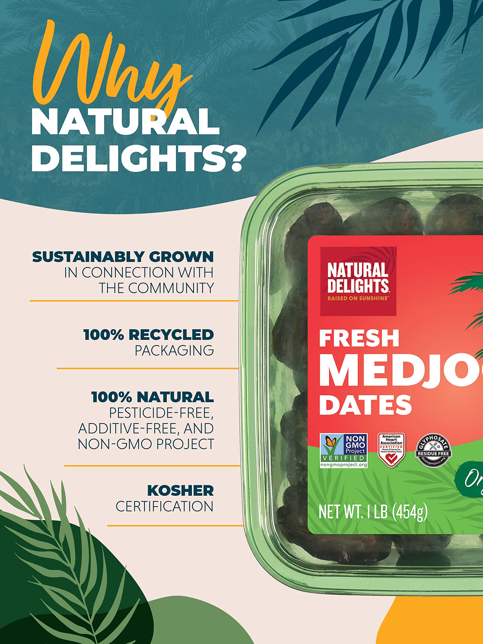 Natural Delights Organic Medjool Dates β Large & Plump USDA Certified , Non-GMO Verified, Good Source of Fiber, Naturally Sweet Fruit Snack, Perfect for On-the-Go - Whole Medjool Dates Organic, 1 lb oz Container