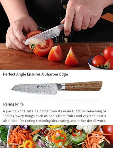 Paring Knife 3.8Inch Damascus Steel Knife Professional Super Steel VG10 Comfortable Ergonomic Wood Grain Handle Very Sharp Paring Knives for KitchenâGift Box