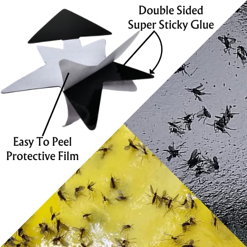Super Nova & Co. 30pk Sticky Fruit Fly Traps Star-Shaped Indoor Plants Outdoor Garden Double-Sided Adhesive Flying Gnat Insect Pest Management Catcher Non Toxic Odorless Waterproof UV-Resistant 3x5β